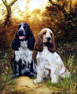 Limited Edition Cocker Spaniel Print RMLE52