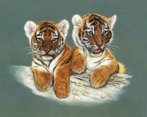Limited Edition Tiger Cub Print RMLE17