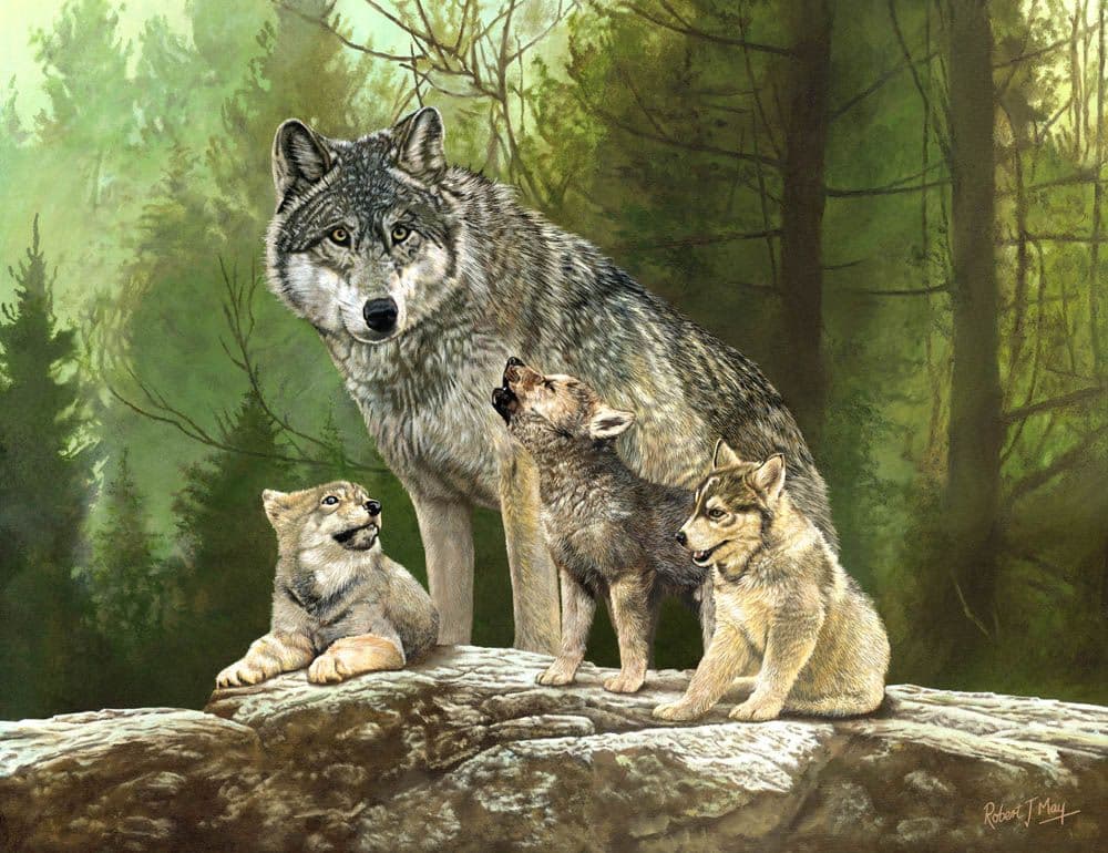 Limited Edition Wolf and Cubs Print RMLE71