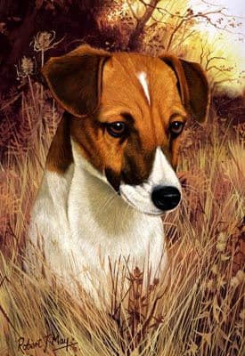 Signed Jack Russell Head Study Print RMSH07